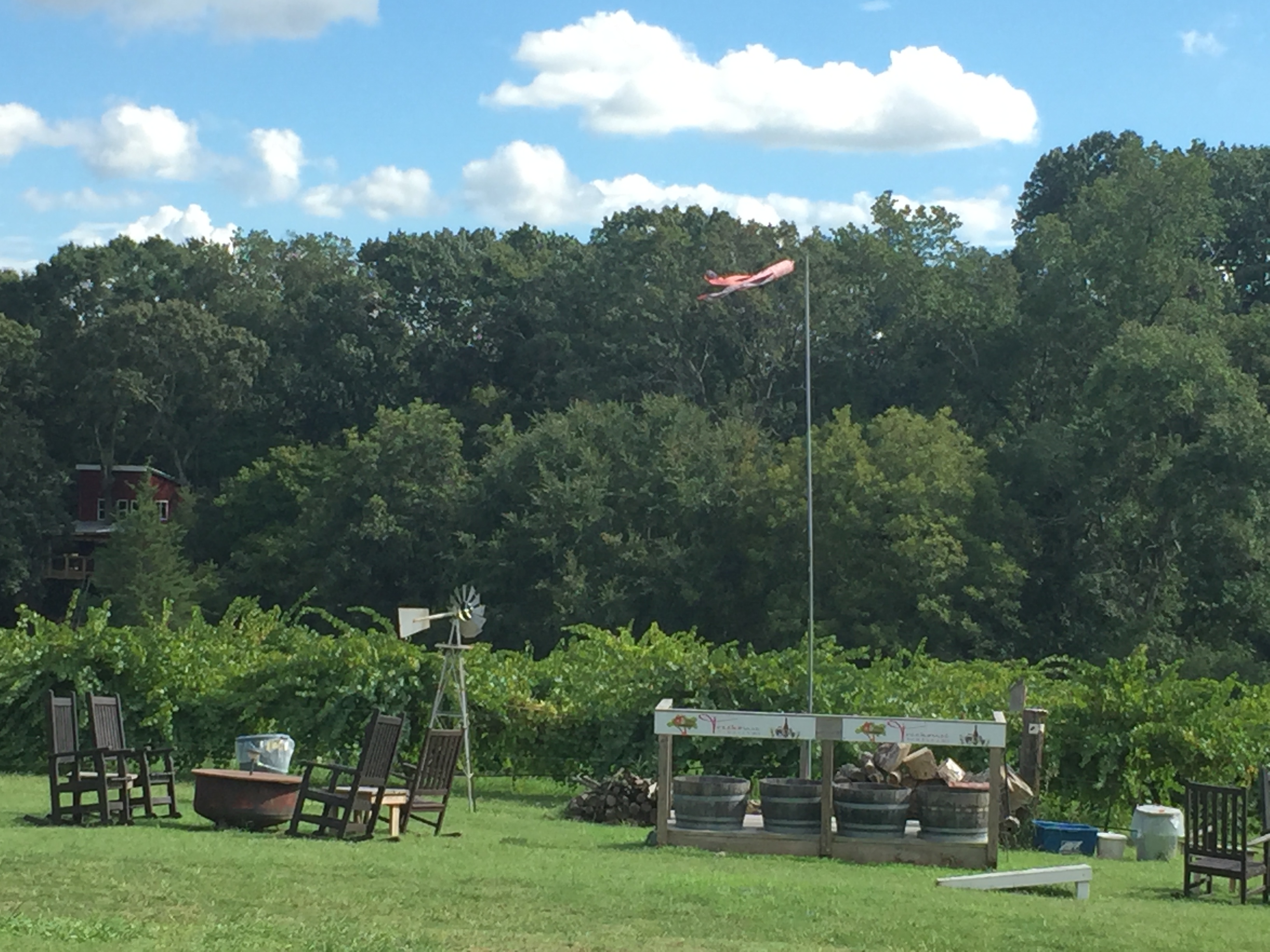 An Afternoon Getaway at Treehouse Vineyards – The Southern Blueprint